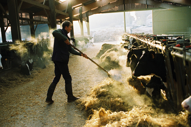Vacher - L'espace pédagogique des produits laitiers