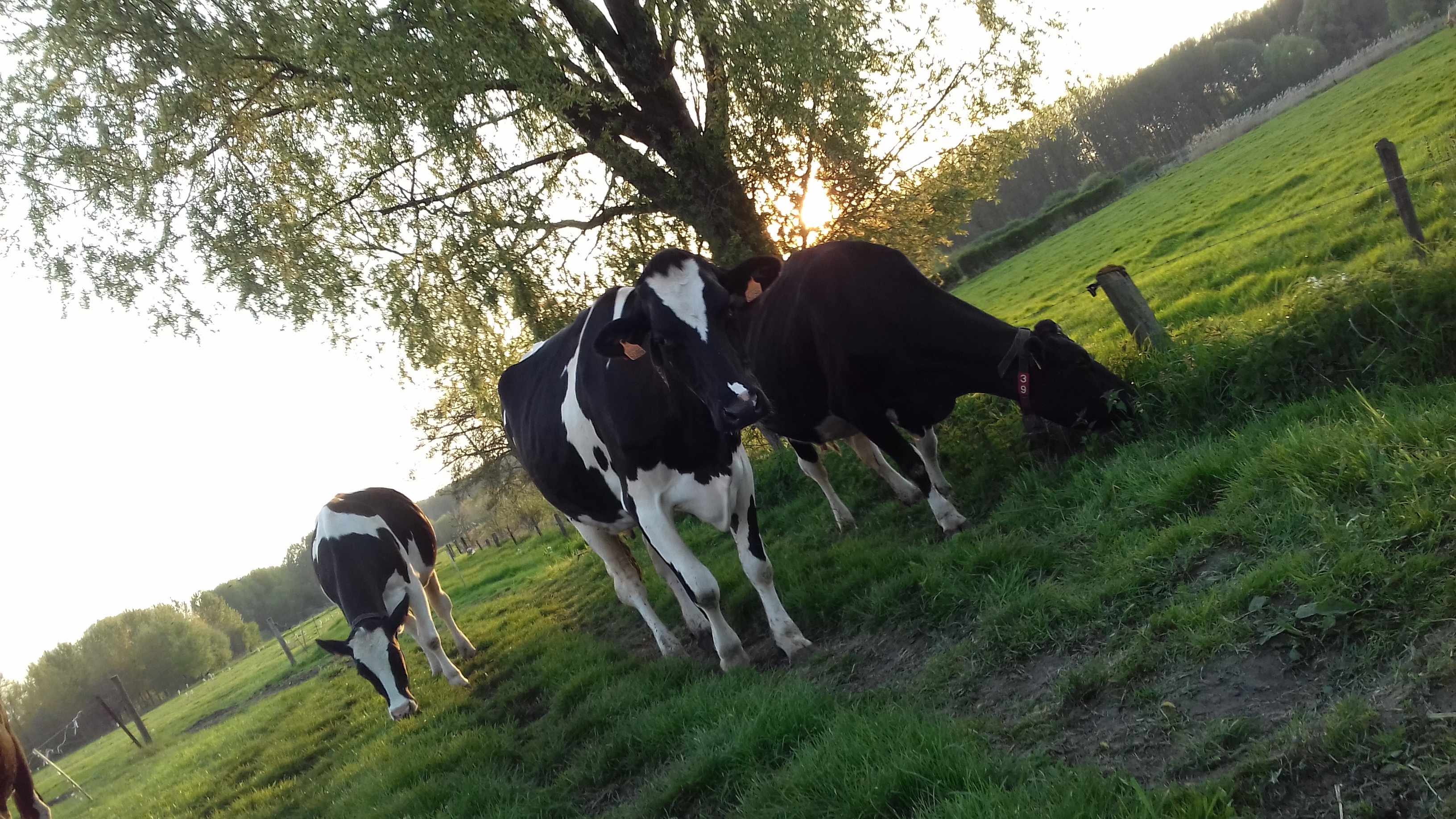 Ferme Bauduin – L'espace pédagogique des produits laitiers