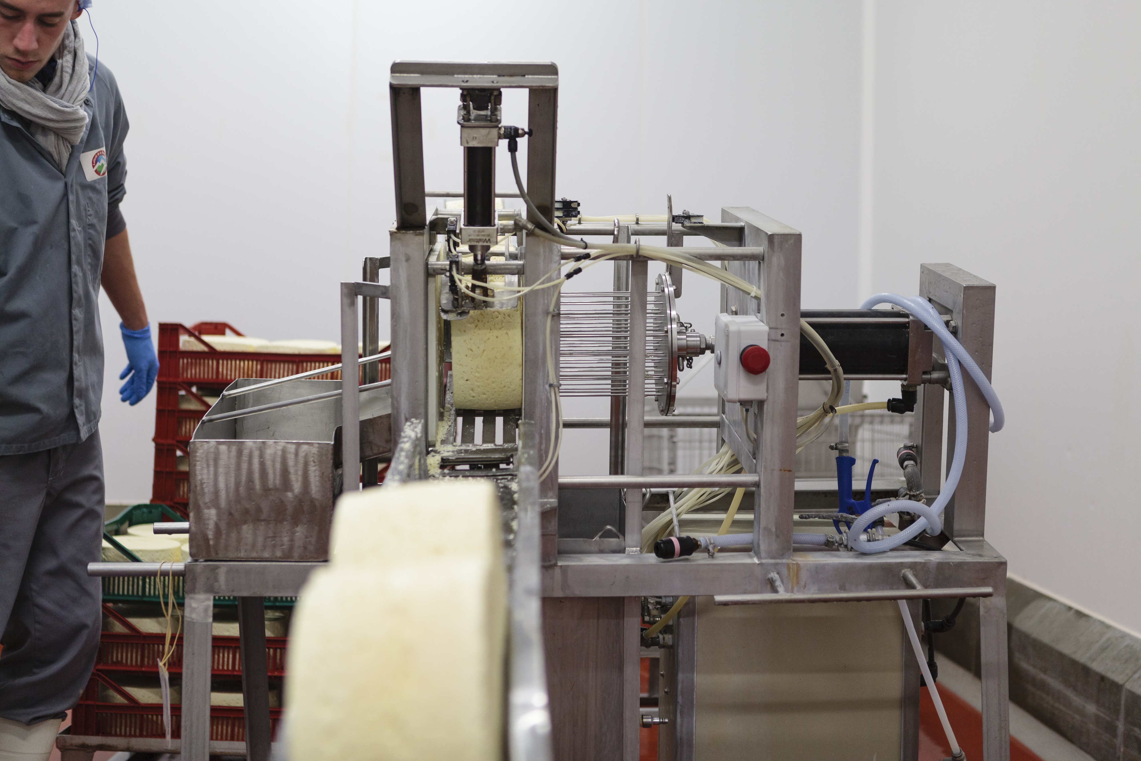 BAC bio industrie de transformation – L'espace pédagogique des produits ...