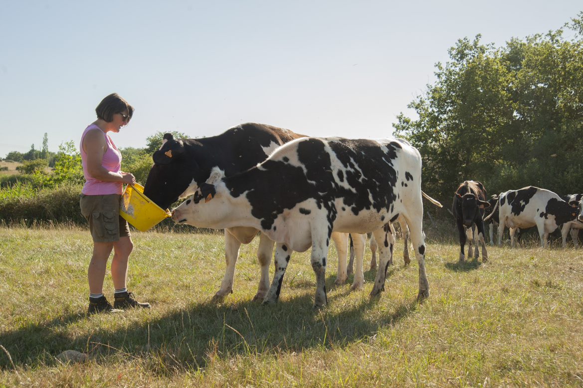 Vacher – L'espace pédagogique des produits laitiers