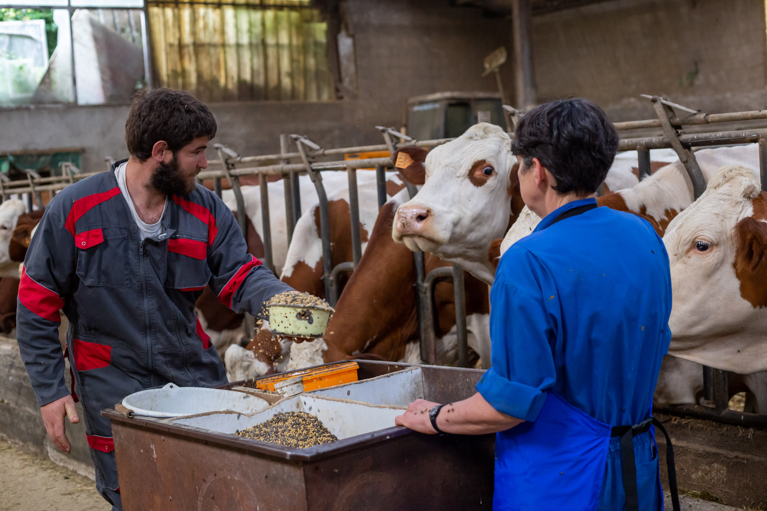 CAP ouvrier de l’exploitation agricole – L'espace pédagogique des ...