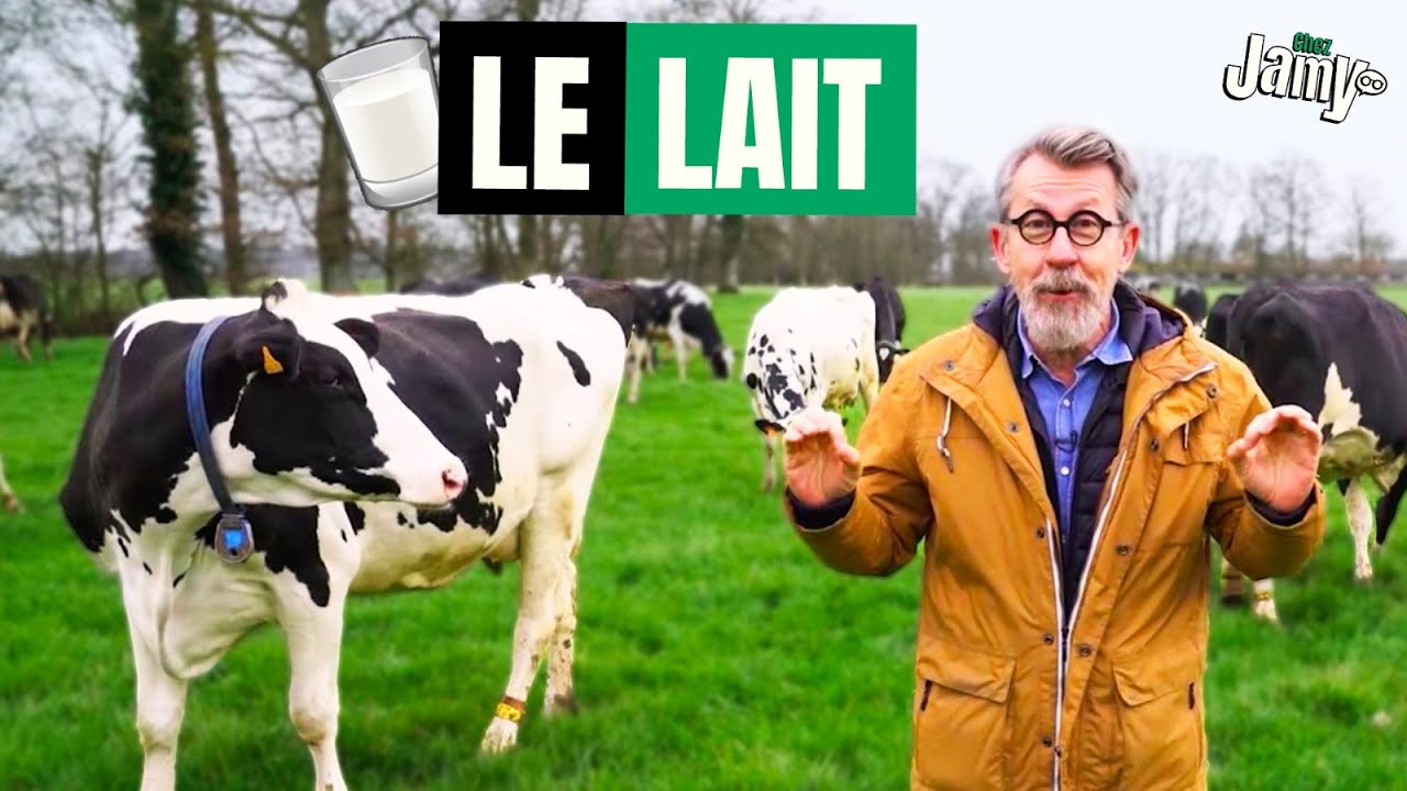 Comment la vache fait-elle du lait ? – L'espace pédagogique des ...