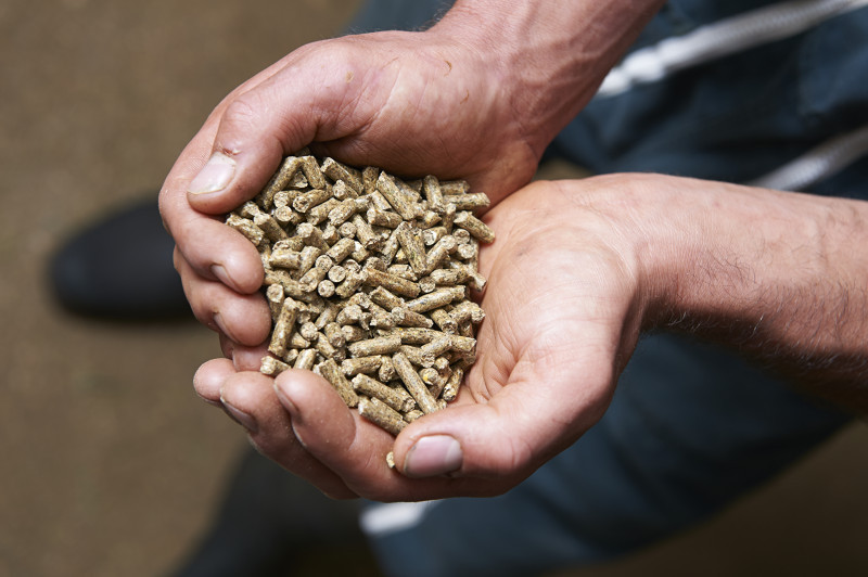 Technico-commercial en aliments du bétail (H/F) – L'espace pédagogique ...