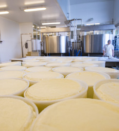 Technicien fromager (H/F) – L'espace pédagogique des produits laitiers