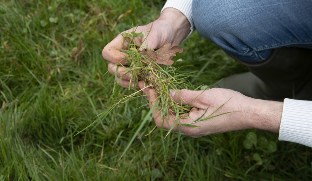 CAP Ouvrier de l’exploitation agricole – L'espace pédagogique des ...